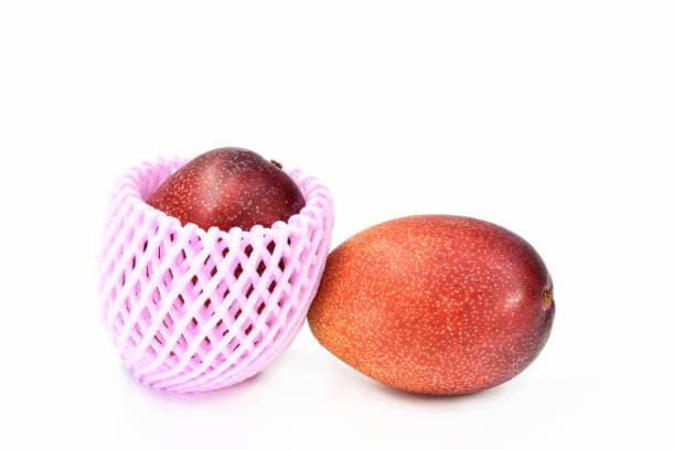 Fruit Plug — Fruit Britain doesn't grow