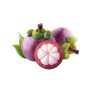 Preparation Guide - Fruit Plug