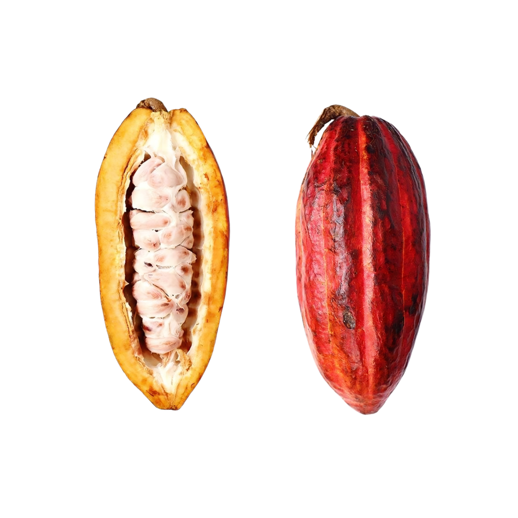 Super Rare Cacao Pod - Fruit Plug